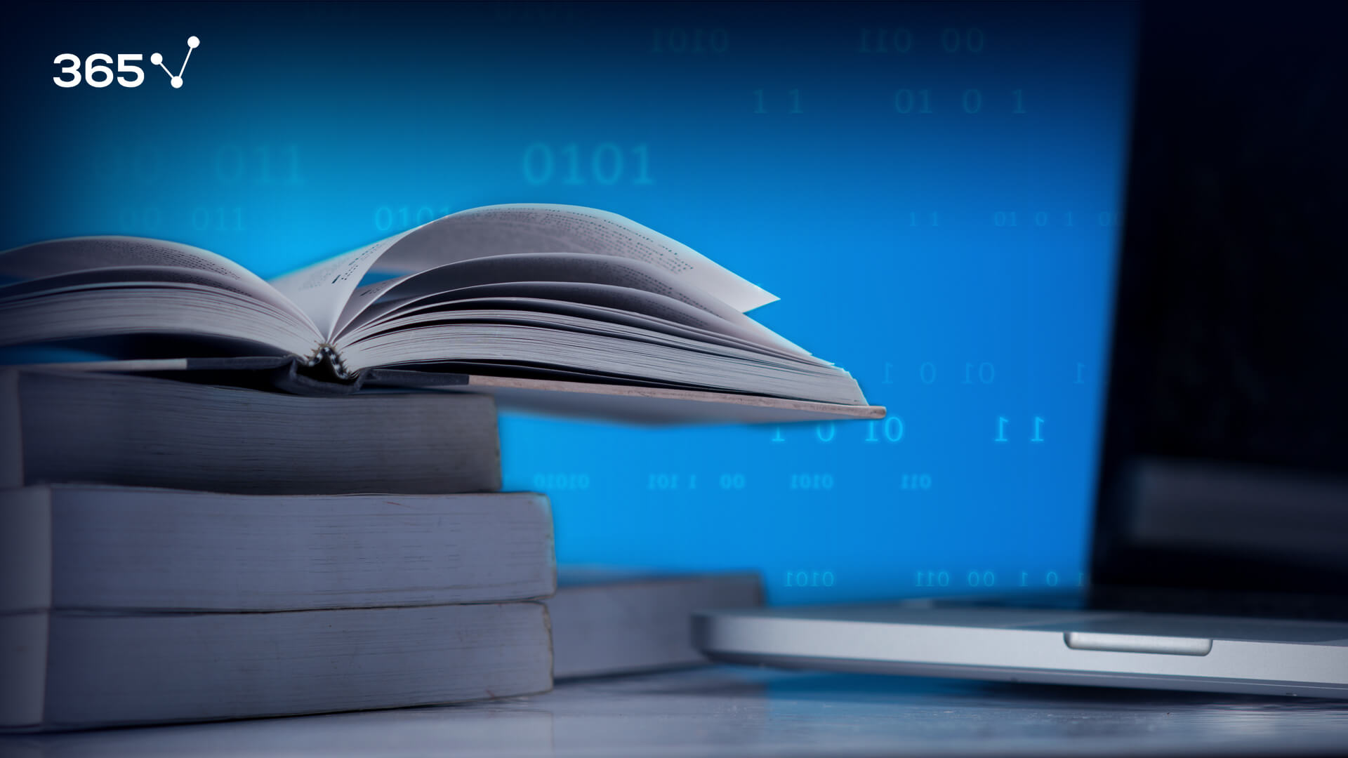 Basic Database Terminology A Begginers Guide 365 Data Science