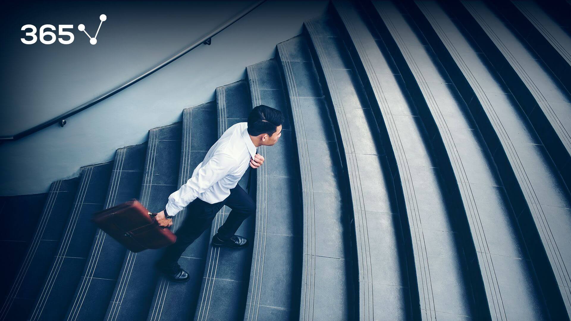 How To Get Into Data Science With An Economics Degree 2025 365 Data 8071