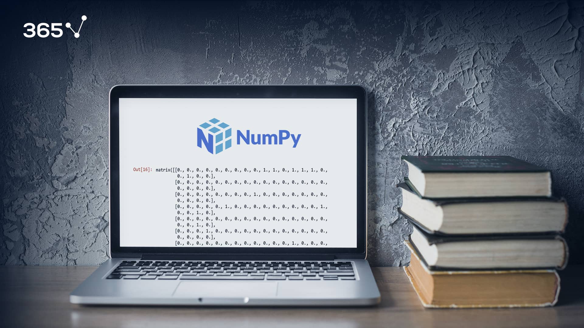 The Ultimate NumPy Tutorial With Code 365 Data Science